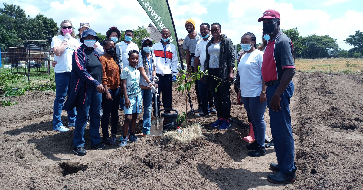 The Kula guide to planting trees – Kula Organics